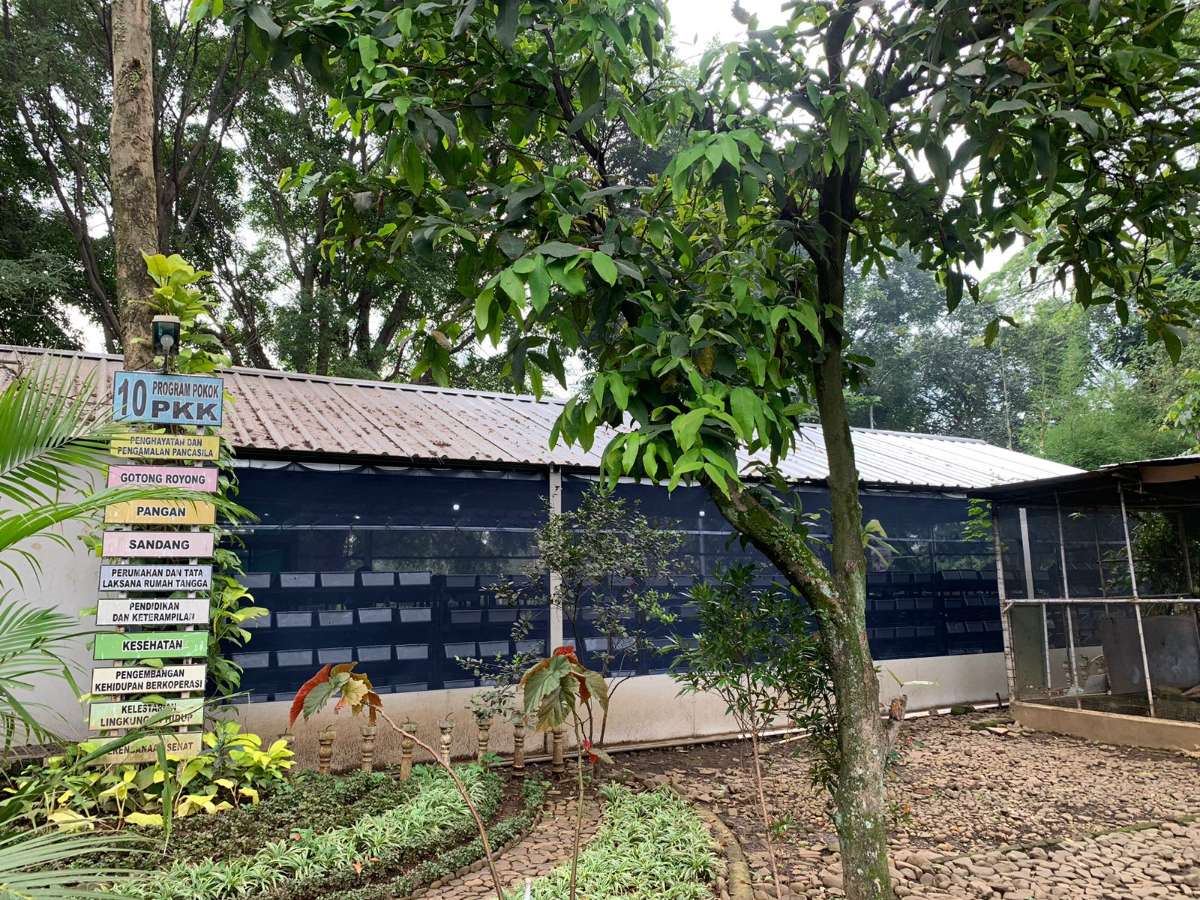 Budidaya Maggot Mulai Panen Di Kelurahan Sukamiskin Bandung – Pakkar