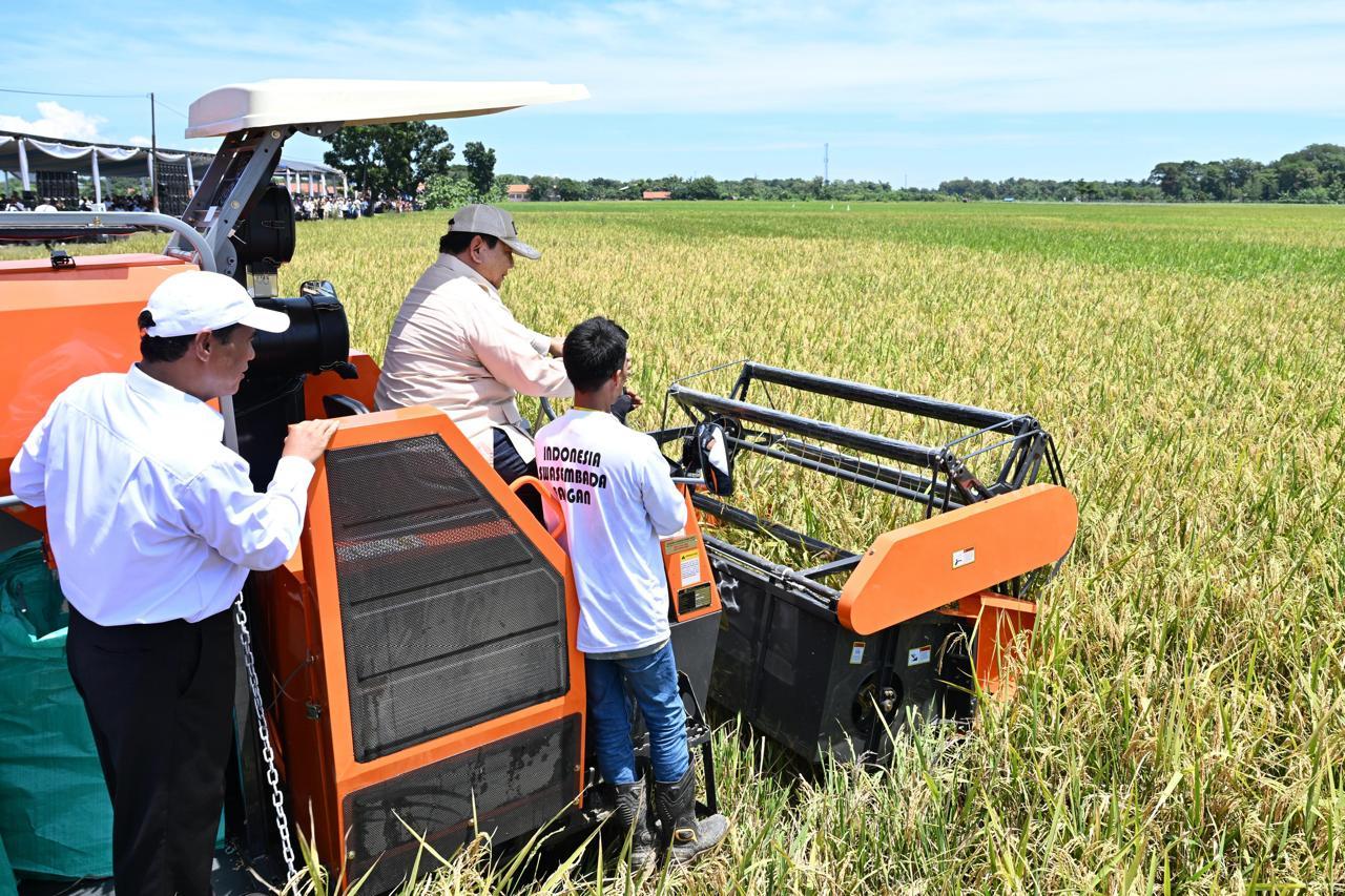 Panen Raya Serentak di 14 Provinsi Presiden Prabowo Tegaskan Komitmen ...